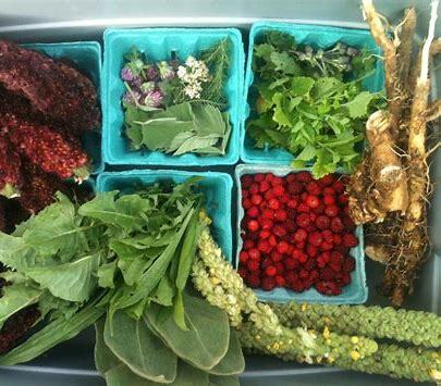 Private Land Walks for Plant Identification | Herb & Forage